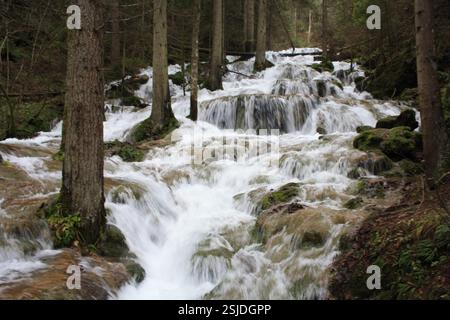 Miljacka spring and waterfall, Sarajevo, Bosnia Stock Photo - Alamy