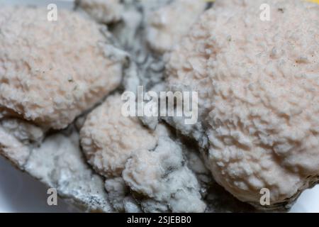 Alabaster crystals in close-up Stock Photo - Alamy