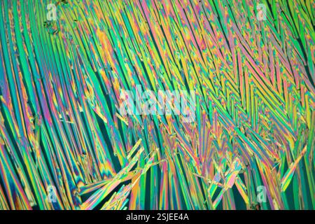Citric acid crystals in polarized light under the microscope Stock ...