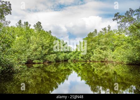 Sign marking equator with the ocean view Stock Photo - Alamy