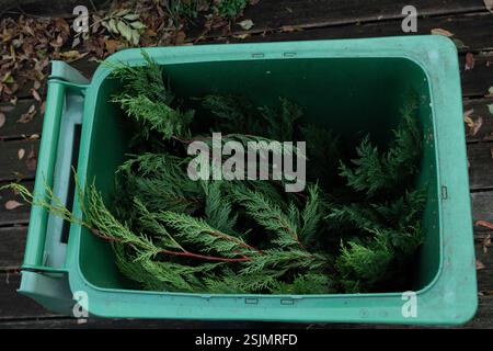 Three discarded green branches, forming a pile of natural waste, with ...
