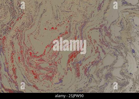 Abstract creative marbling pattern for fabric, design background ...