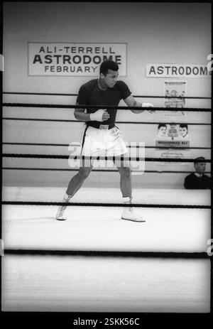 Ali beim Training vor WM-Kampf gegen Terrell, Houston 1967#Ali training ...