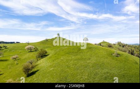 Aerial panorama image of drumlin hills landscape with single trees on ...