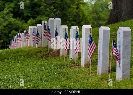 Greenville, Tennessee, USA - May, 25, 2024: American flags placed in ...