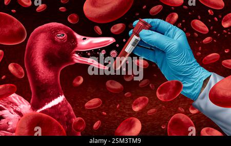 Avian Influenza In Wild Birds Spreading Bird Flu and Highly Pathogenic ...