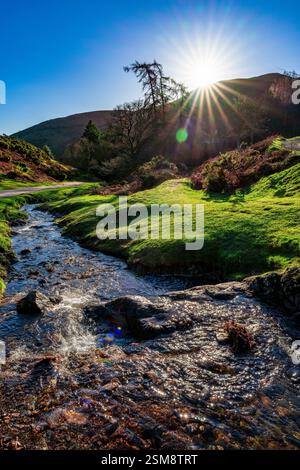 Sunlit green hills with vibrant, lush trees dotting the landscape ...