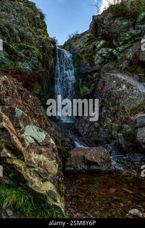 A serene landscape features a cascading waterfall surrounded by lush ...