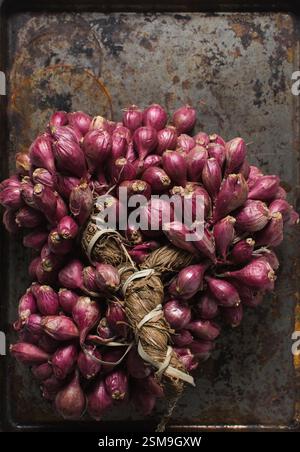 Overhead view of shallots on a white granite countertop, top view of ...