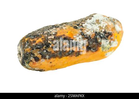 rotten papaya isolate on white background Stock Photo - Alamy