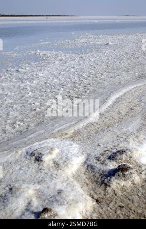Salt residue, Great Rann of Kutch, Kutch, Gujarat, India, Asia Stock ...