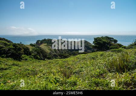 Port Orford Heads at the southern Oregon Coast Stock Photo - Alamy