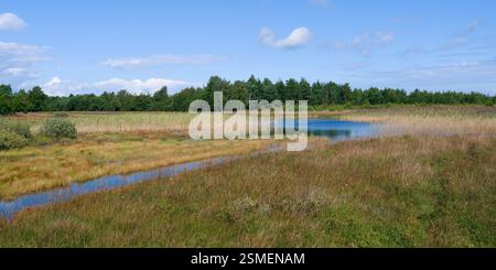 Laesoe, Denmark: Kaerene moorland with Birkemose moor lake Stock Photo ...