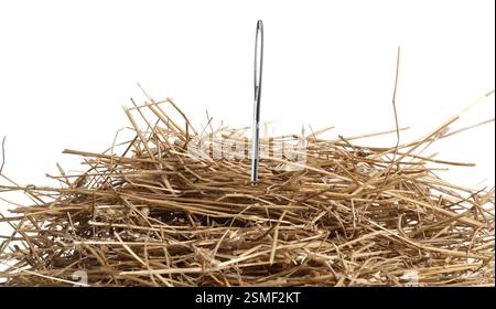 Sewing needle in haystack on white background Stock Photo - Alamy