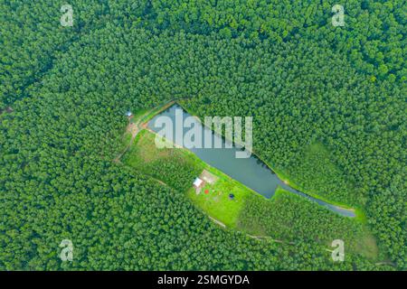 An aerial view of Madhupur Forest in Tangail, revealing houses built by ...