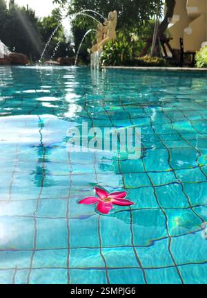 Flowers in the pool, beautiful relaxation room Stock Photo - Alamy