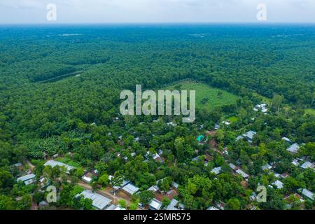 An aerial view of Madhupur Forest in Tangail, revealing houses built by ...