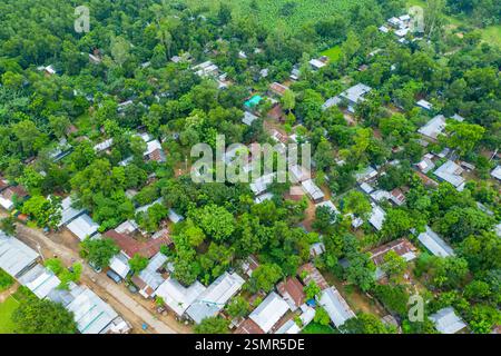 An aerial view of Madhupur Forest in Tangail, revealing houses built by ...