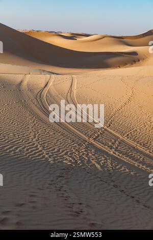 Desert landscape with tire tracks and trails Stock Photo - Alamy