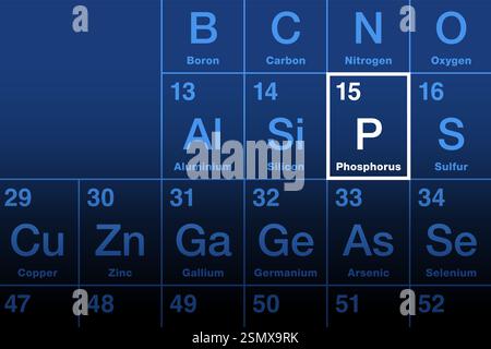 Phosphorus element on the periodic table. Chemical element with symbol ...