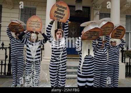 Activists from PETA stage a dramatic protest outside the Royal Thai ...