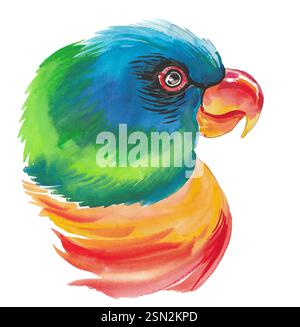 Parrot head. Hand drawn watercolour illustration Stock Photo - Alamy