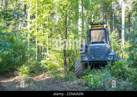 Black-yellow forest logging tractor in dense green woodland Stock Photo ...