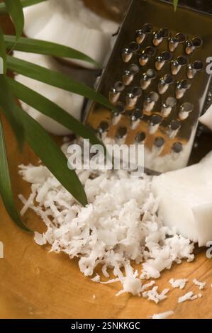 Grated coconut with grater and nut, lodz, poland Stock Photo - Alamy