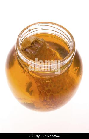 Fresh honeycombs on white background Stock Photo - Alamy