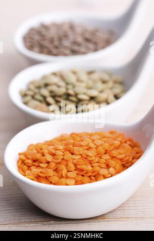 The lentil is a species of plant in the legume genus Fabaceae or ...