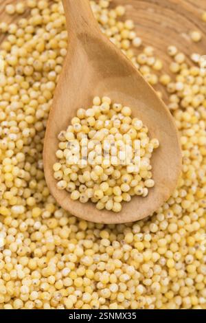 Millet groats, lodz, poland Stock Photo - Alamy