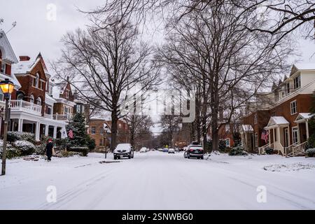 Norfolk Virginia - January 22 2025: A Little Library Stand After A Snow ...
