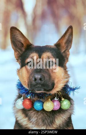 Christmas greeting card with dogs. German Shepherd with deer antlers ...