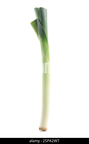 One fresh leek isolated on white. Spicy vegetable Stock Photo - Alamy