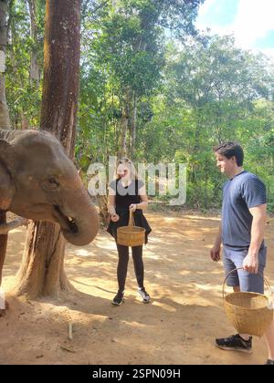 Elephant woman forest traditional animal travel nature rural Asian ...