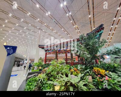 Beijing, China - Nov 11th 2024: the Beijing airport Stock Photo - Alamy