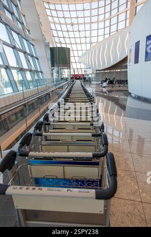 Luggage trolley at the Abu Dhabi airport Stock Photo - Alamy