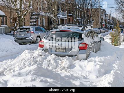 Montreal, Quebec, Canada. 14th Feb, 2025. Snowstorm in Montreal. After ...