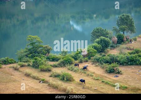 Nov. 3rd 2024 Uttarkashi Uttarakhand India. Village view at ...