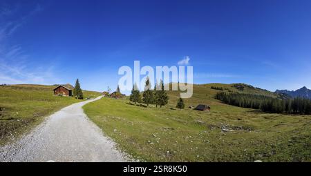 Alpine huts and alpine landscape with a view of the Windkogel, Postalm ...