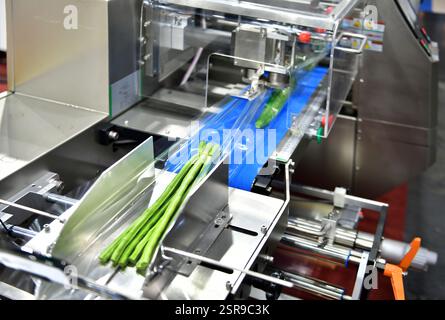 Packaging machine Agricultural vegetables Horizontal speed wrapping in ...