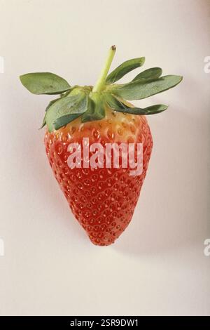 Strawberry, India, Asia Stock Photo - Alamy