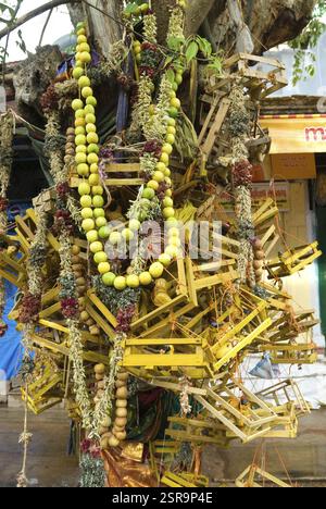 Wooden Cradles on sacred tree in front of Meenakshi temple, Madurai ...