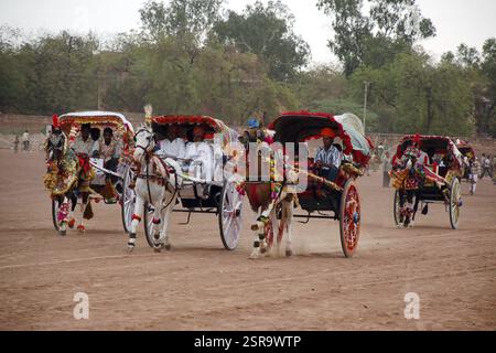 Horse cart race, Jodhpur, Rajasthan, India, Asia Stock Photo - Alamy