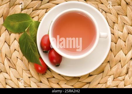 Rose hip tea, poland Stock Photo - Alamy