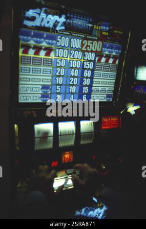 Casino in one of the gambling zone Siberian coin. Altaiskiy Krai ...