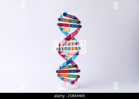 Nucleobases of DNA on white background. Illustration Stock Photo - Alamy