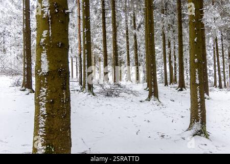 Wintertag im Taunus Blick auf die Winterlandschaft am Großen Feldberg ...