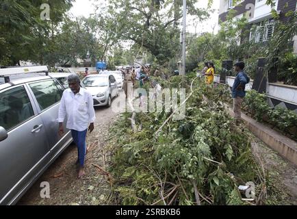 Chennai police personnel remove uprooted trees that came in the path of ...