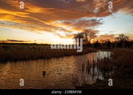 The Sun has set leaving a dramatic winter sunset over the Middle Lake ...